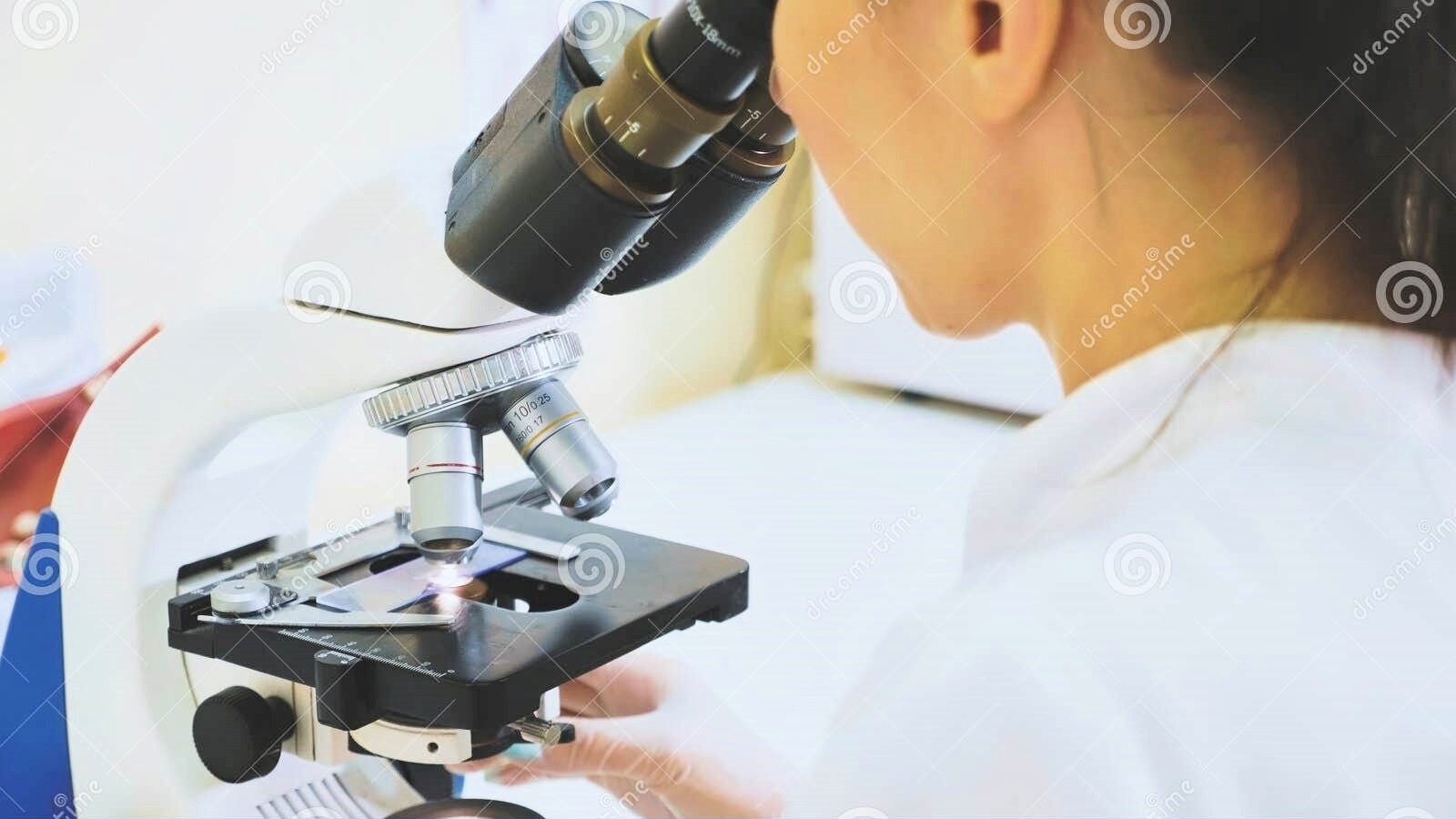 Semen Analysis and Progesterone testing | Canine Reproductive Services ...